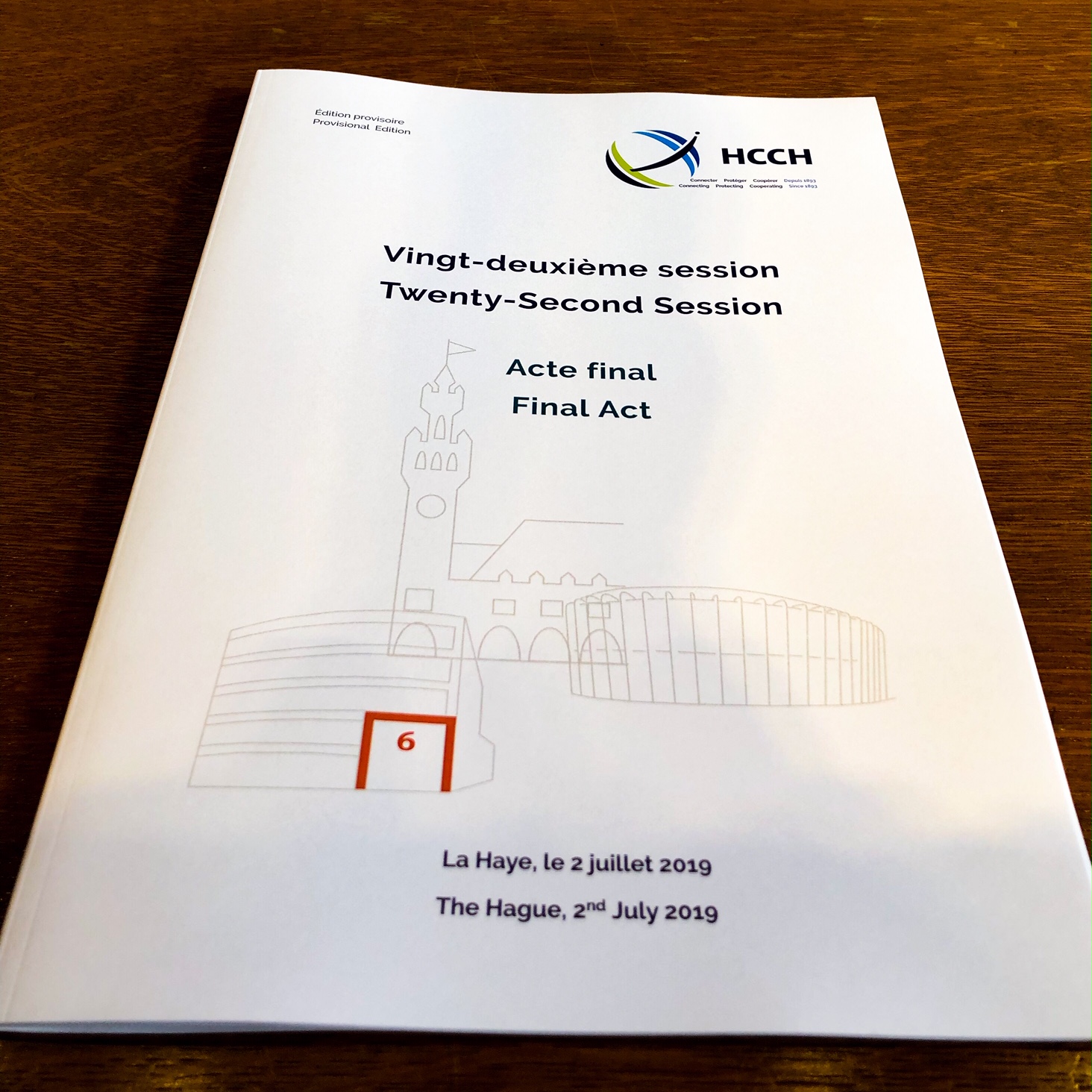 DONE! An important day for global justice and the Hague Conference on ...