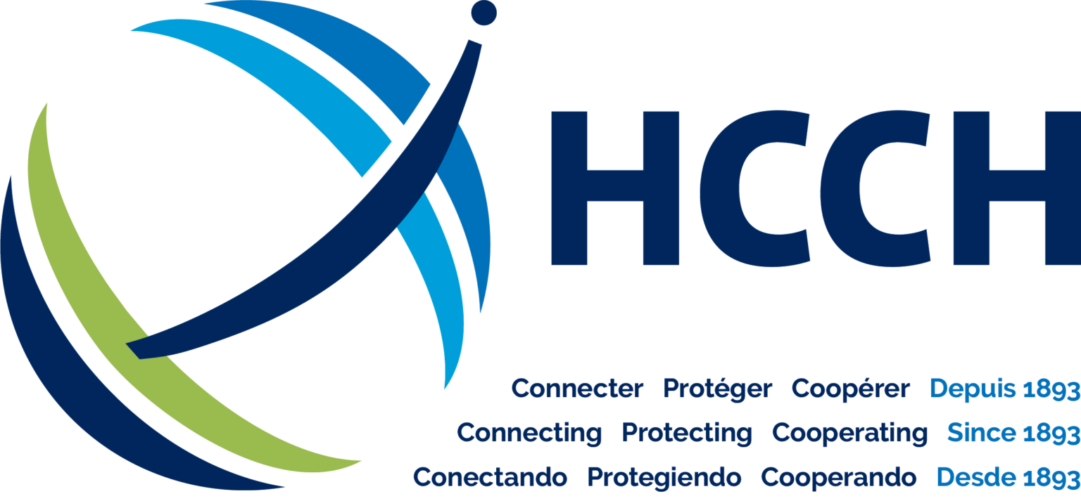 Launch of public consultation on a possible new HCCH convention ...